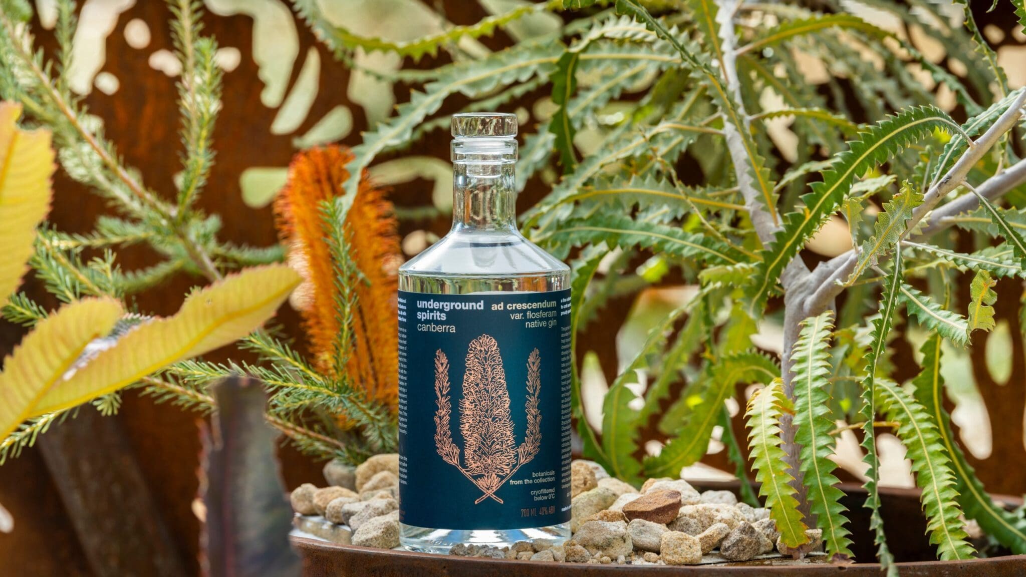Media Release: New Australian Gin Grows from Australia’s National ...